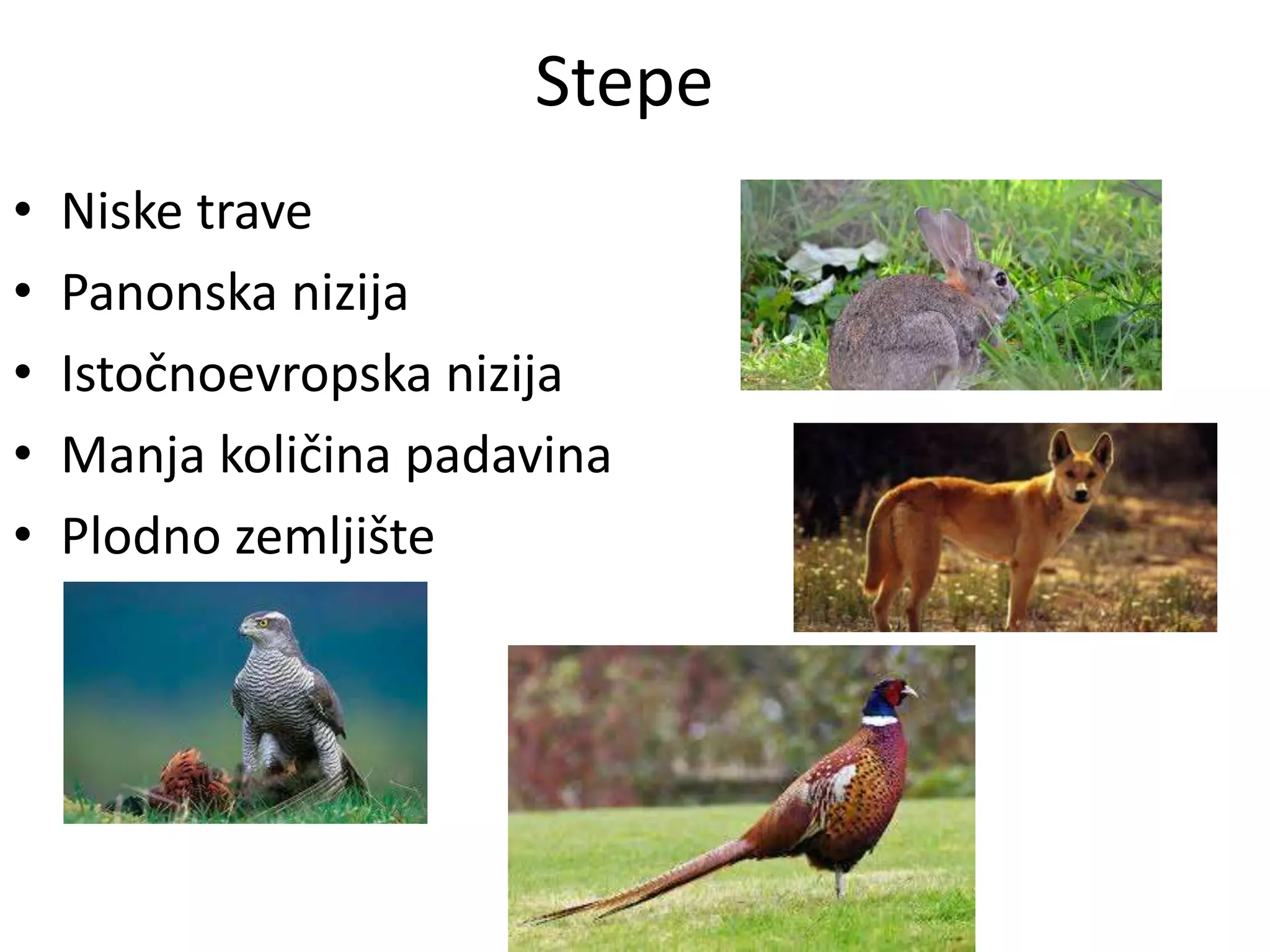 Klima, biljni i životinjski svijet Evrope | PPTX