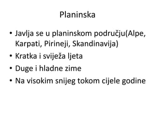 Klima, biljni i životinjski svijet Evrope | PPTX