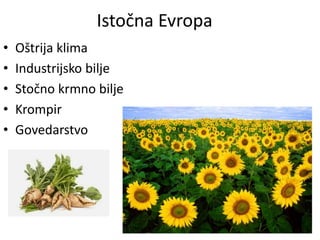 Privreda Evrope | PPTX