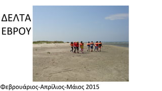 Evros delta | PPT