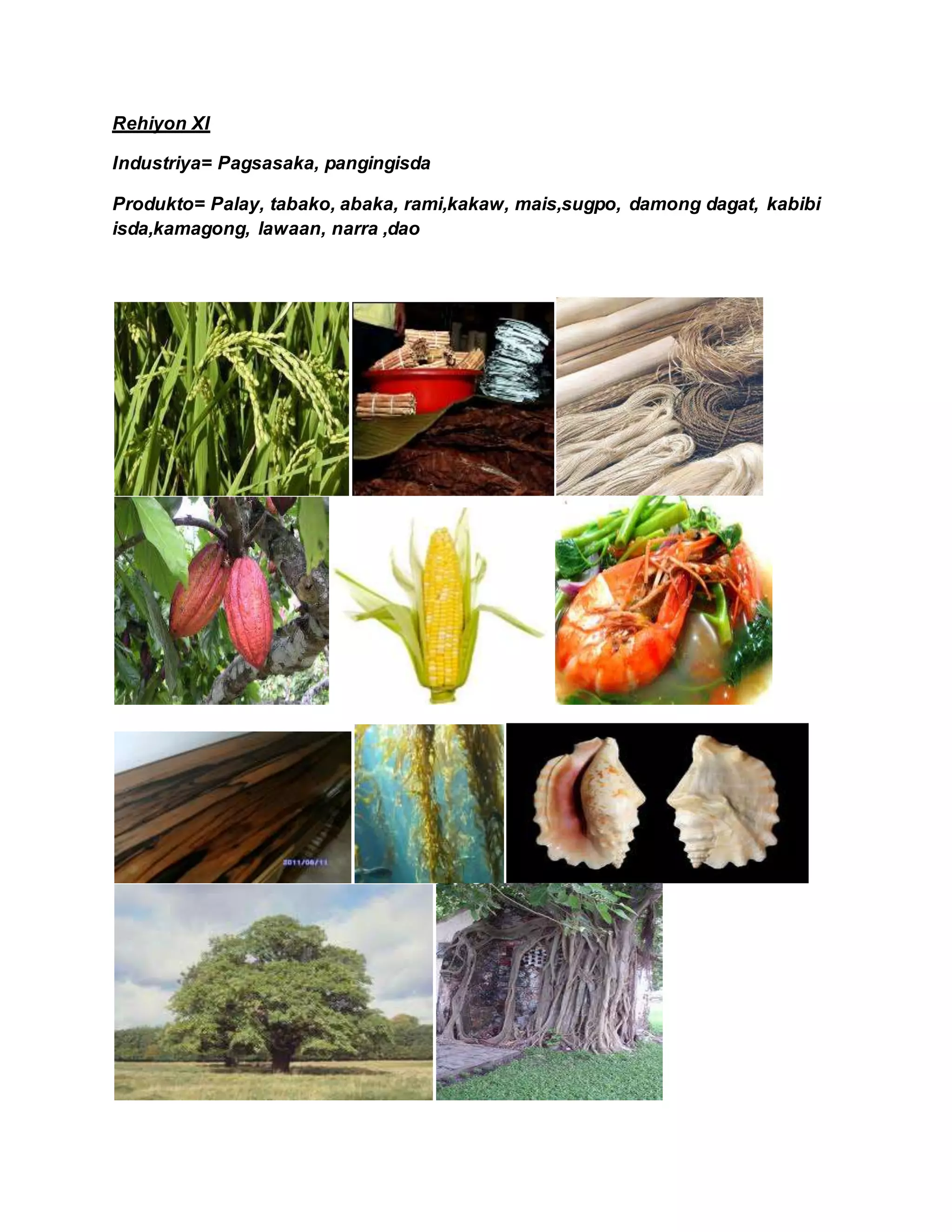 hekasi mga produkto sa bawat rehiyon | DOCX