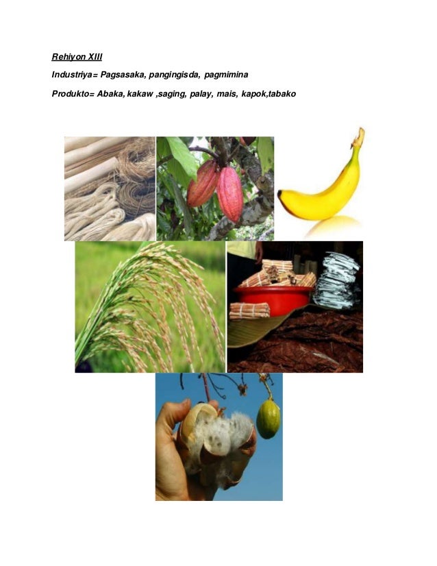 Produkto Ng Rehiyon 2