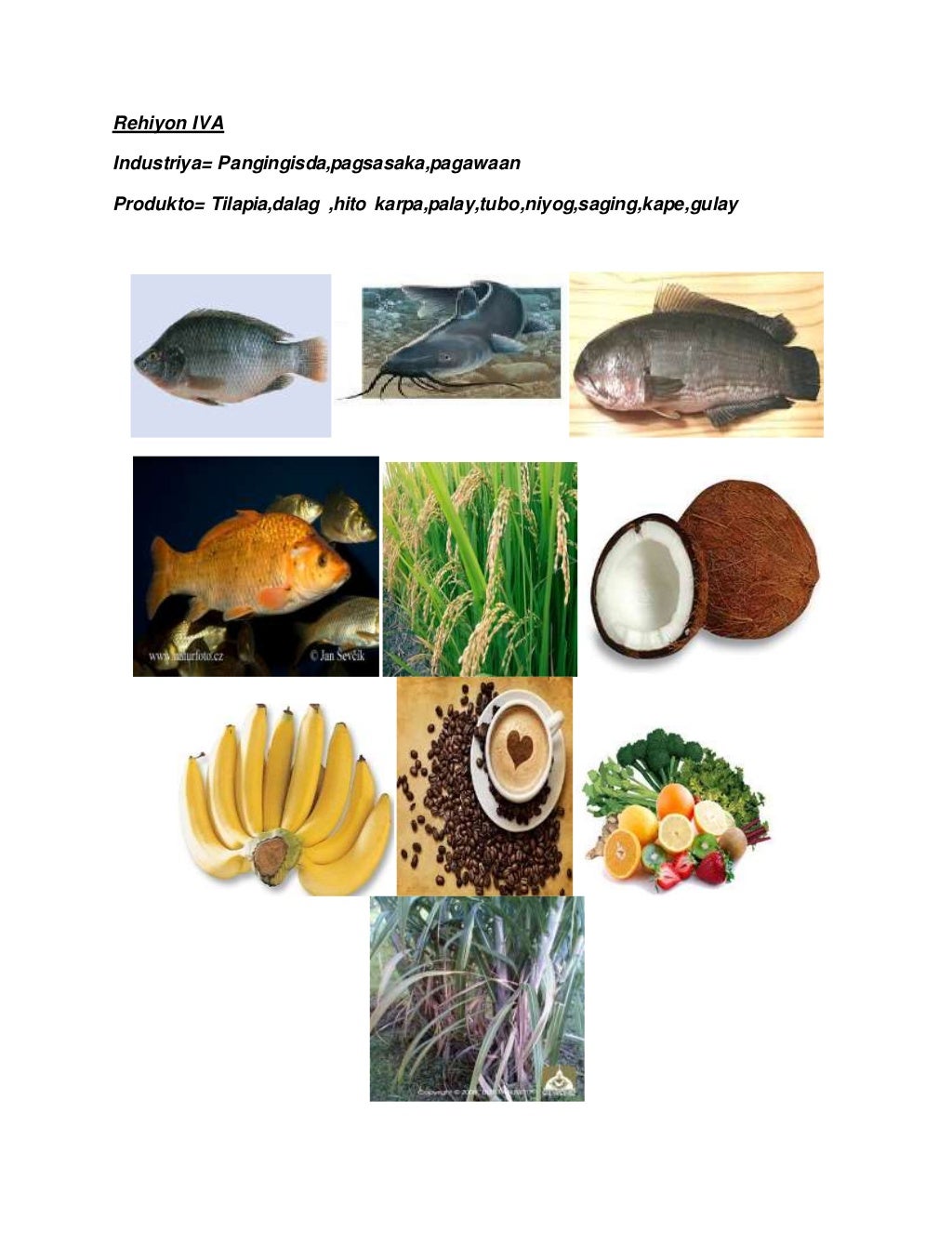 hekasi mga produkto sa bawat rehiyon