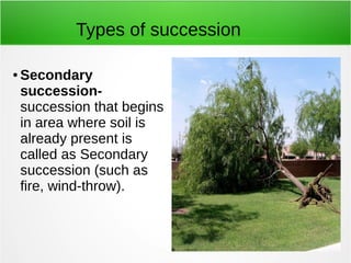 ECOSYSTEM | PPT