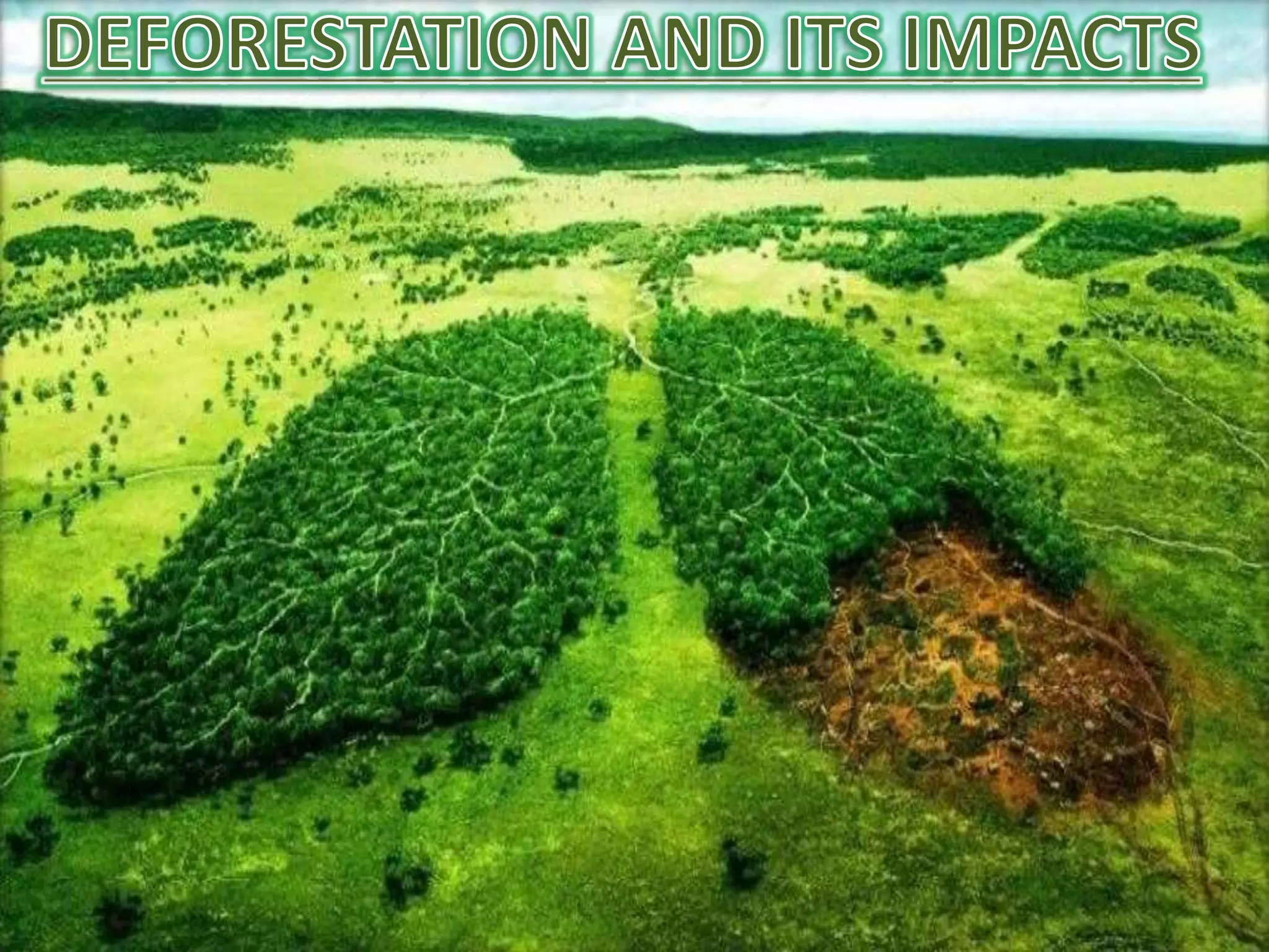 Deforestation- Its Causes and Impacts | PPTX