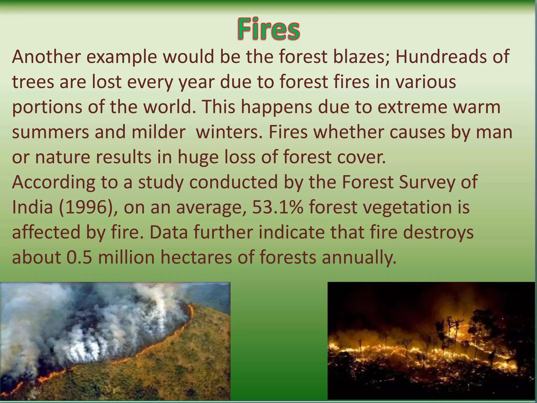 Deforestation- Its Causes and Impacts | PPTX