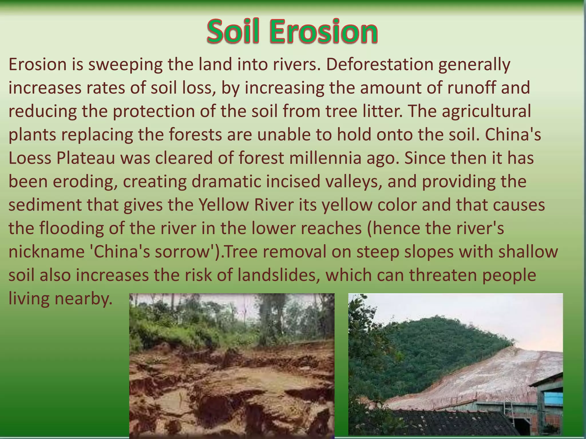 Deforestation- Its Causes and Impacts | PPTX