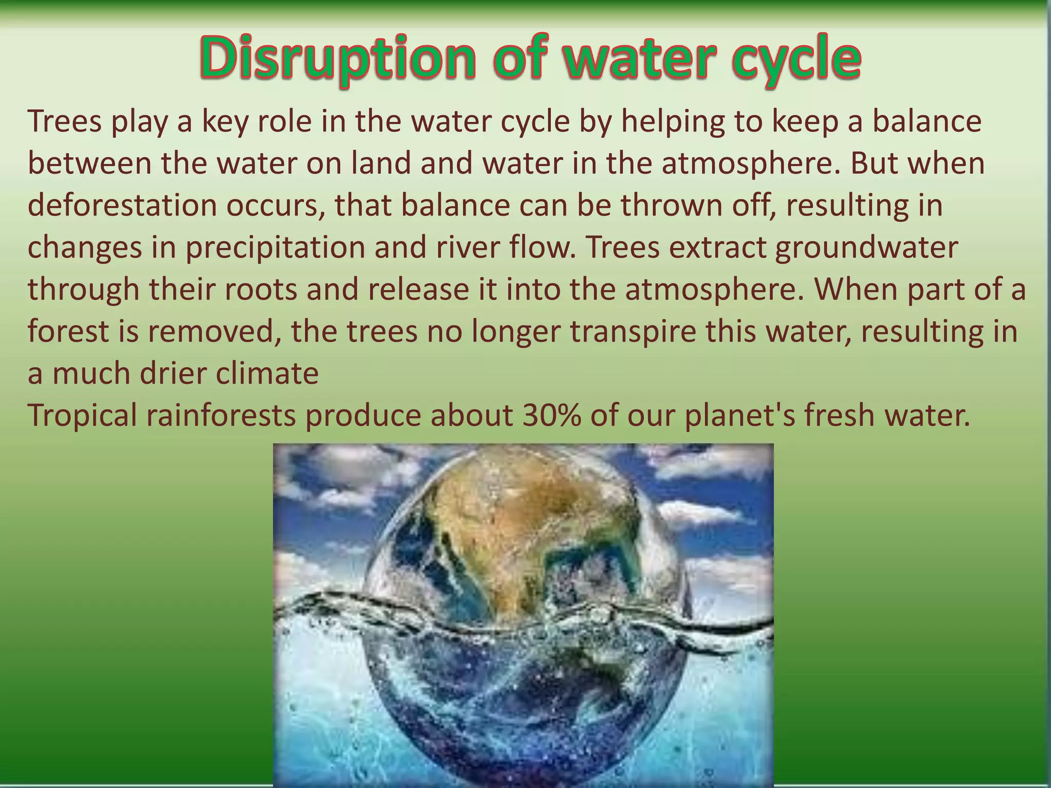 Deforestation- Its Causes and Impacts | PPTX