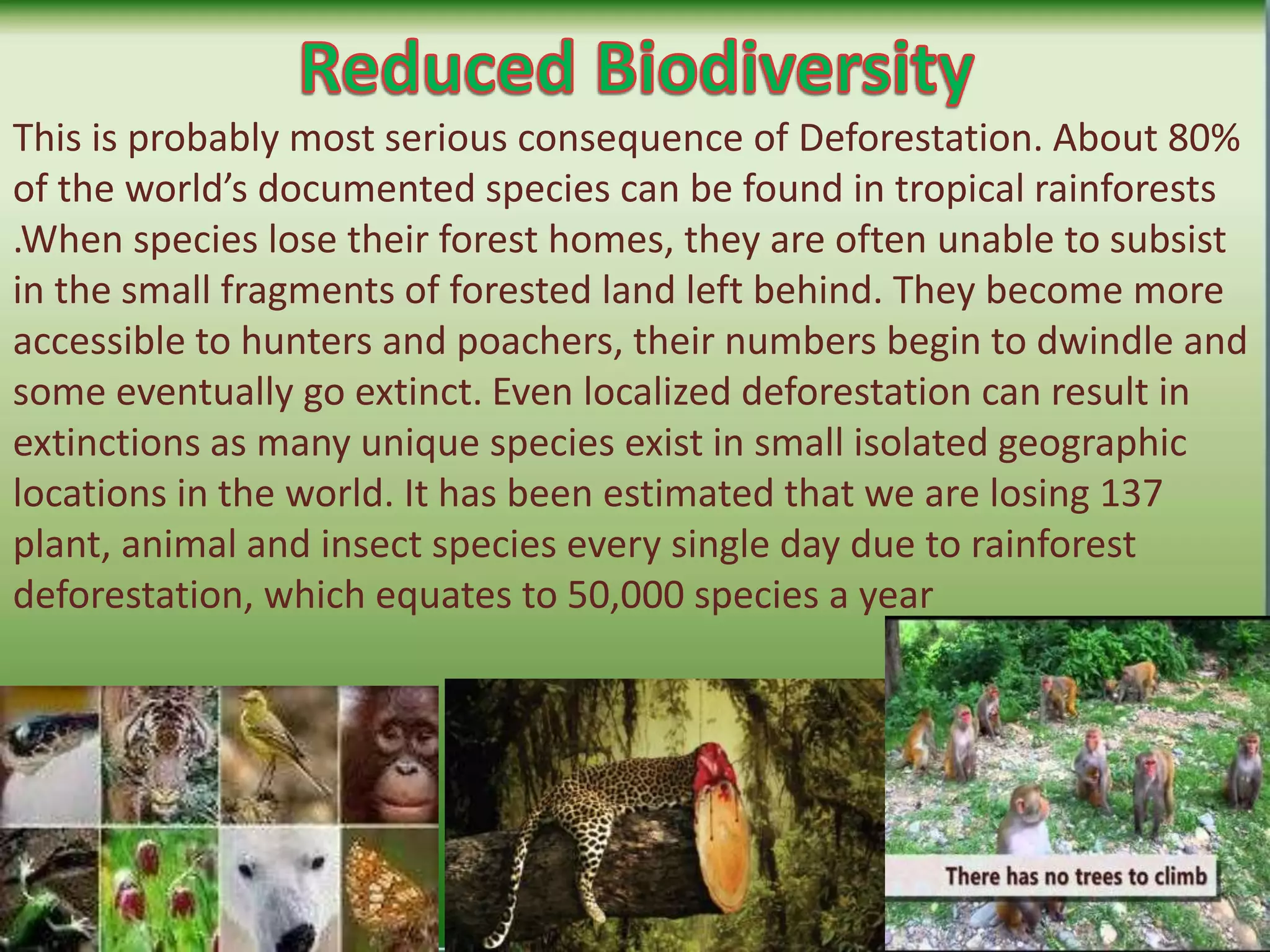 Deforestation- Its Causes and Impacts | PPTX