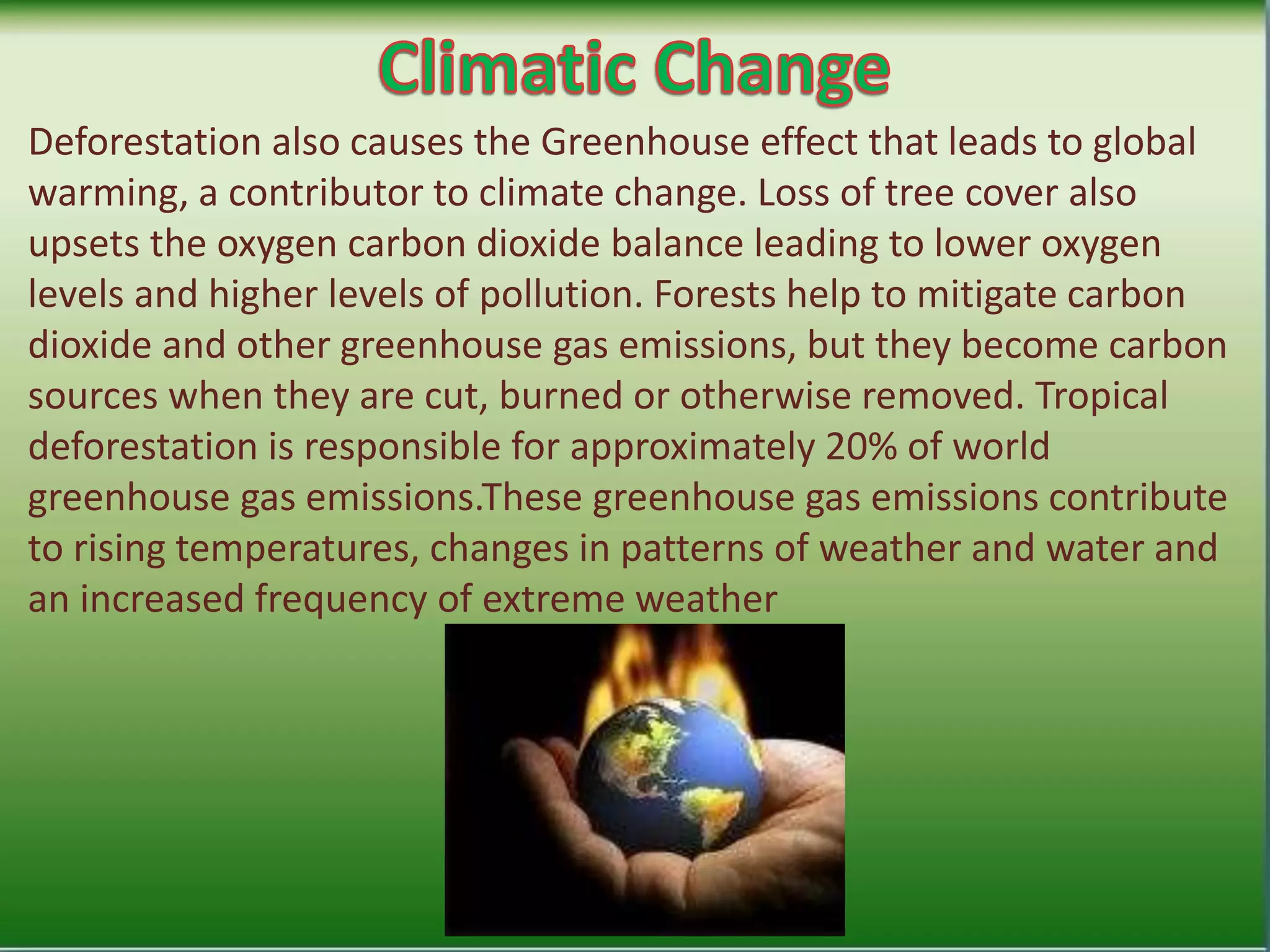 Deforestation- Its Causes and Impacts | PPTX