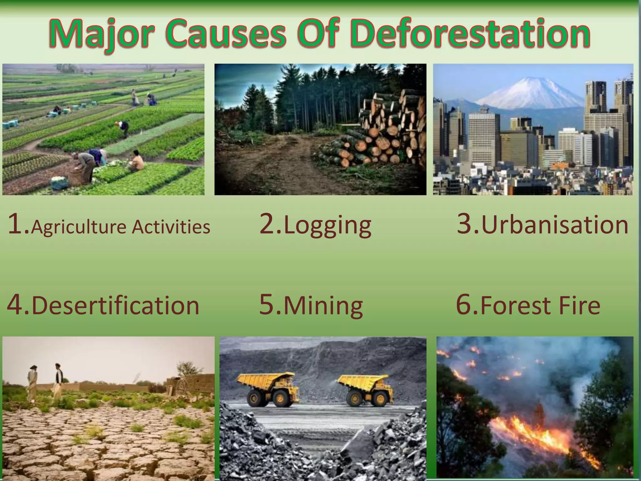 Deforestation- Its Causes and Impacts | PPTX