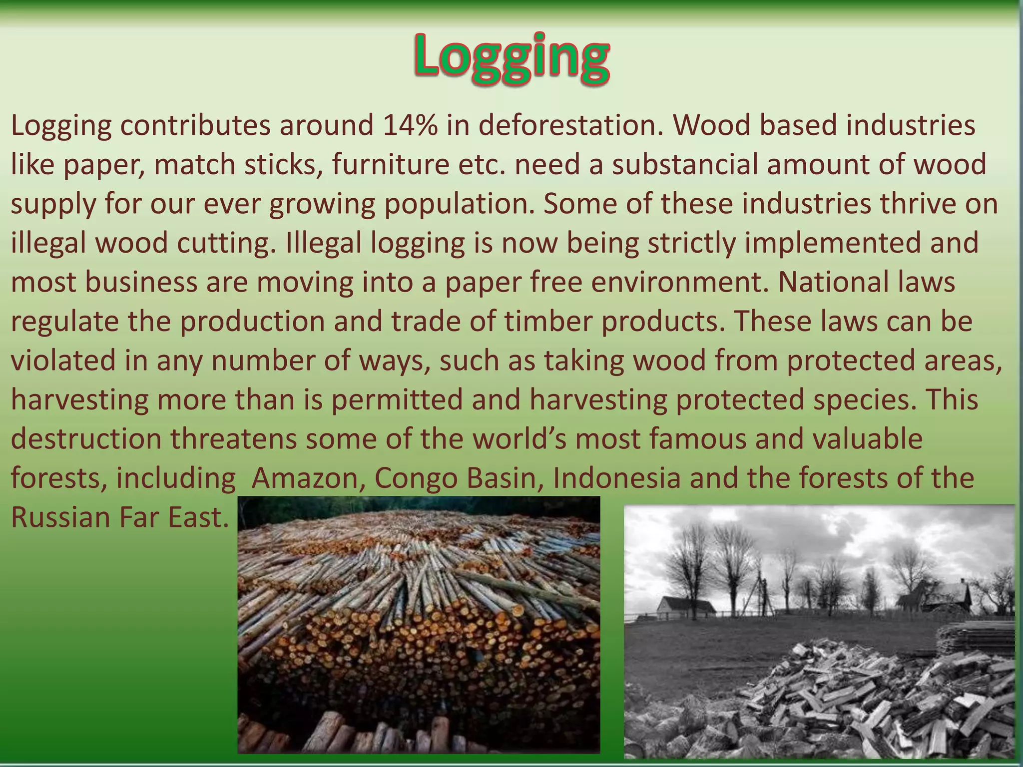 Deforestation- Its Causes and Impacts | PPTX