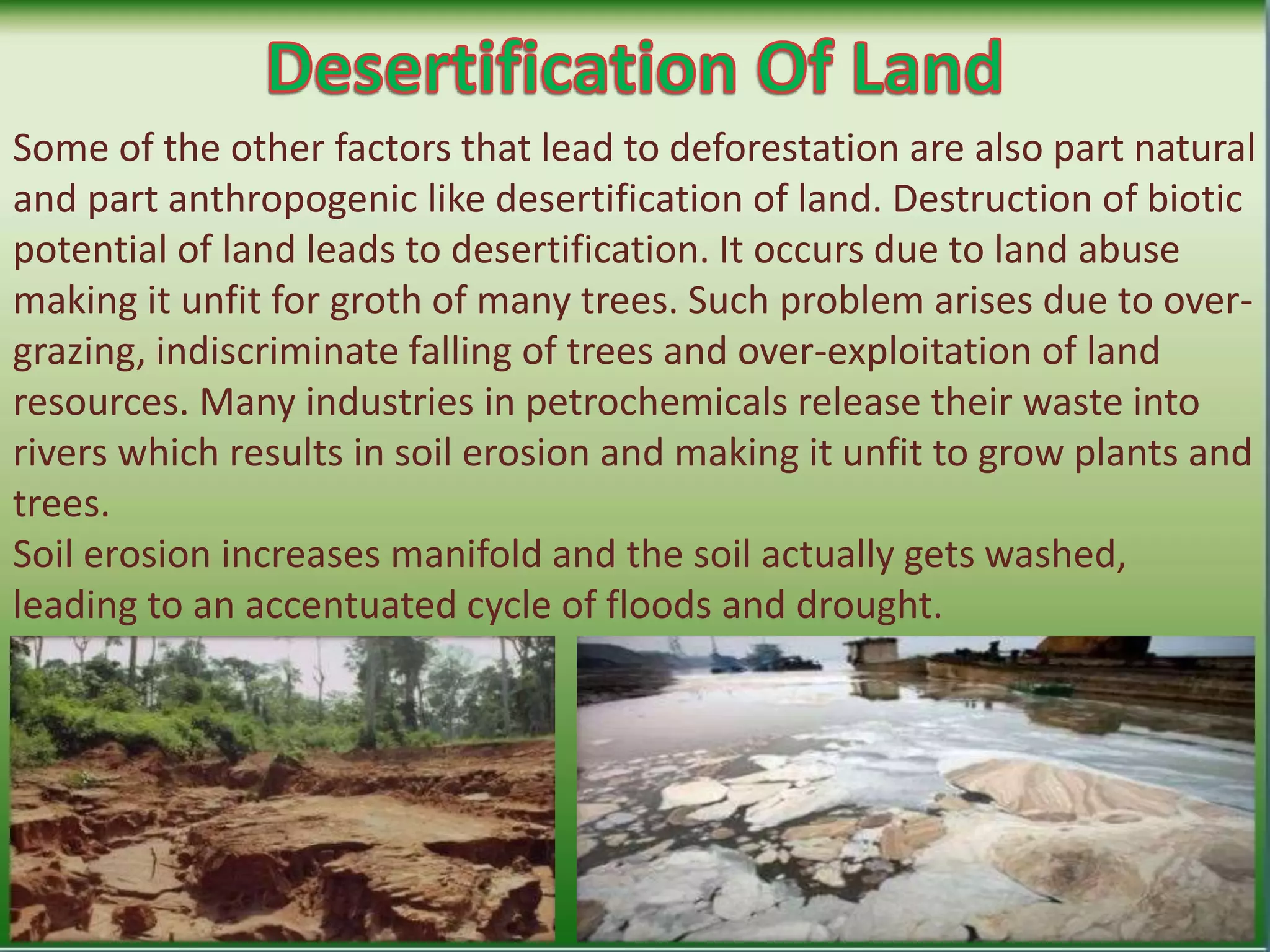 Deforestation- Its Causes and Impacts | PPTX