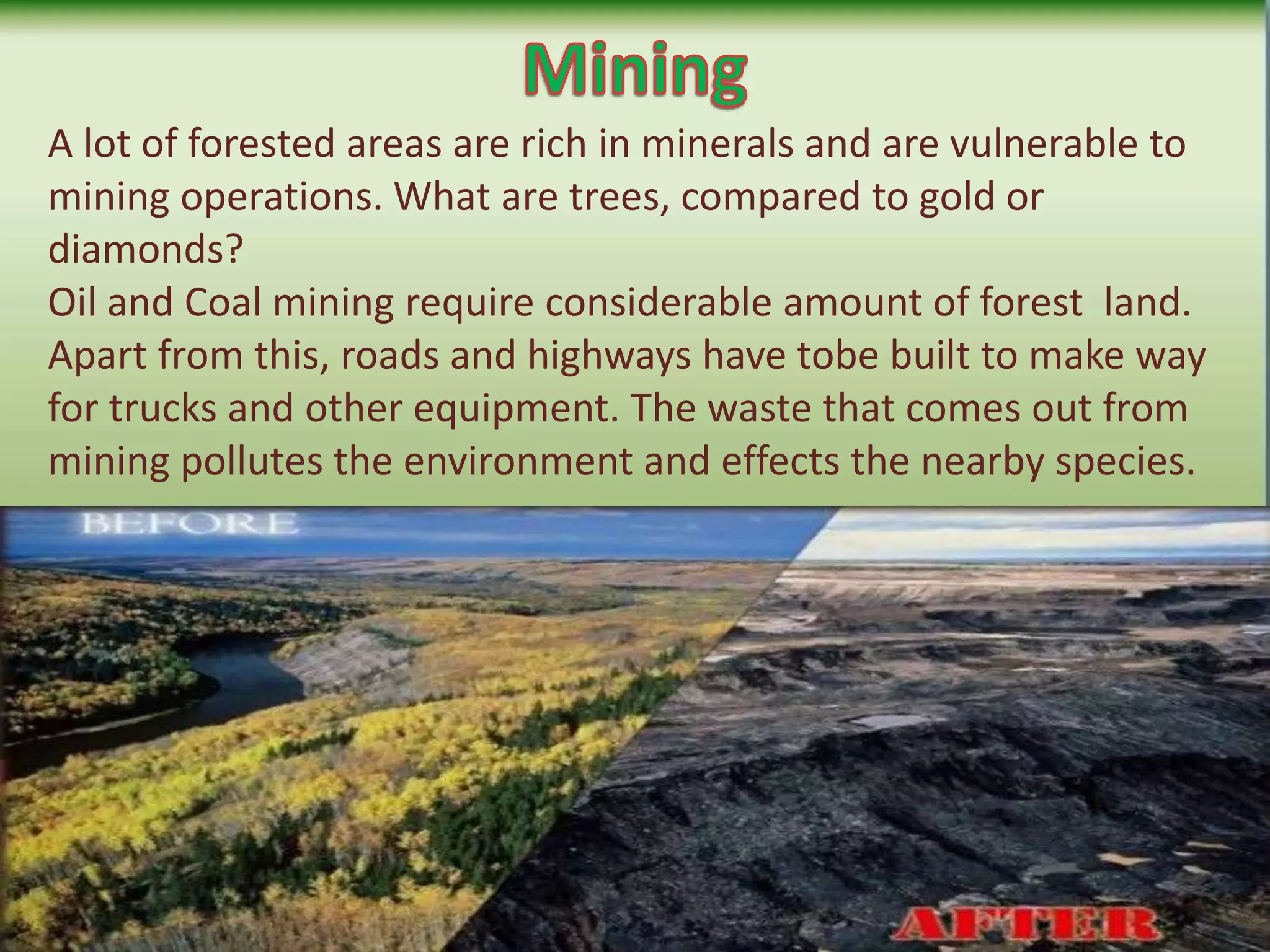 Deforestation- Its Causes and Impacts | PPTX