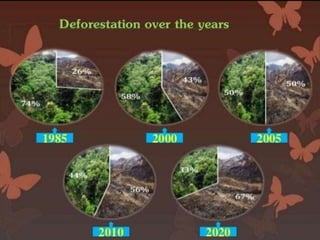Deforestation- Its Causes and Impacts | PPTX