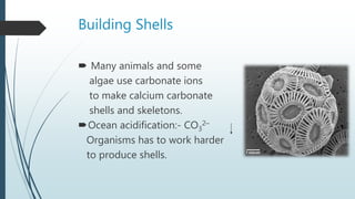 Ocean Acidification | PPTX