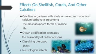Ocean Acidification | PPTX
