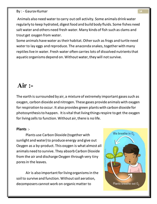 project on Ecosystem(EVS) | DOCX