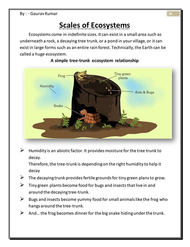 project on Ecosystem(EVS) | DOCX