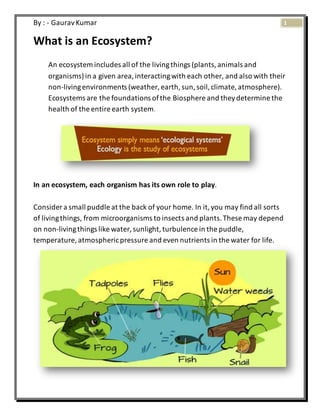 Ecosystem Definition Biology