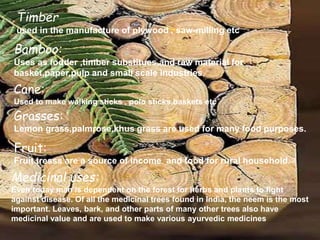 Environmental Science | PPTX