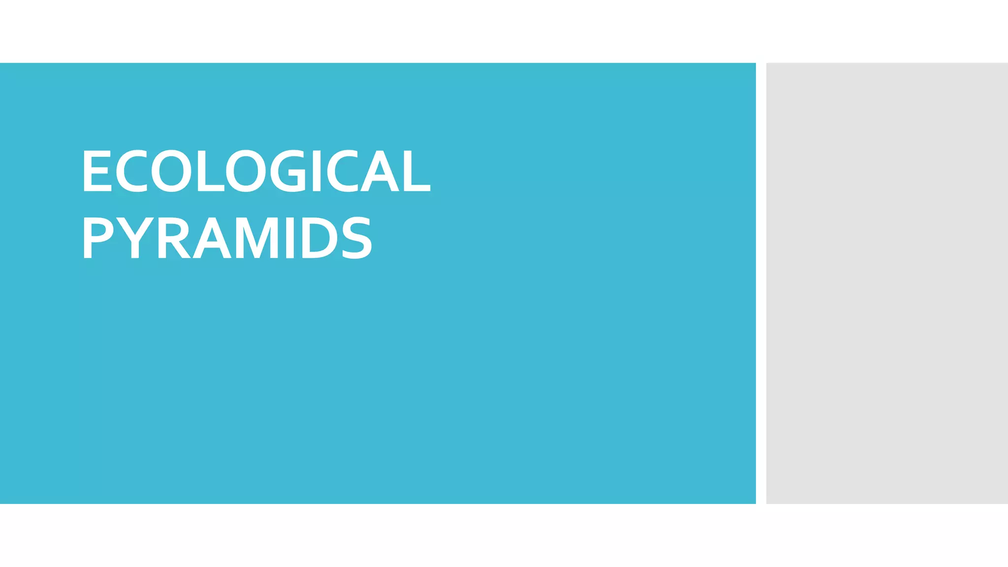 Ecological pyramids | PPT