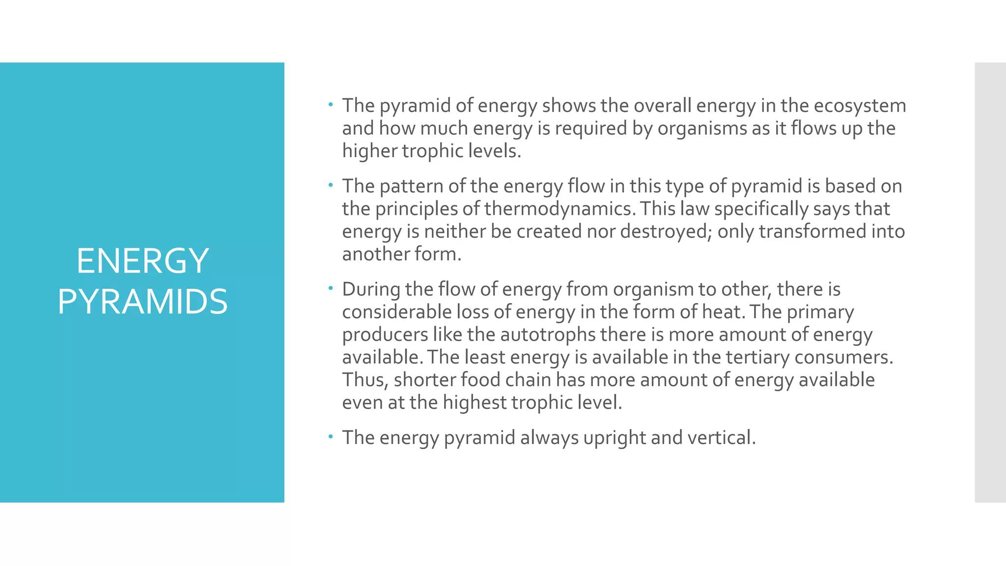 Ecological pyramids | PPTX