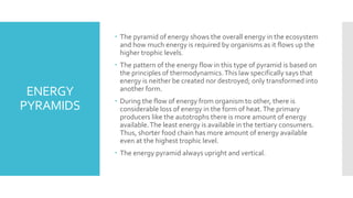 Ecological pyramids | PPT