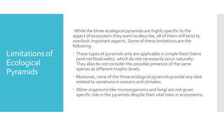 Ecological pyramids | PPT
