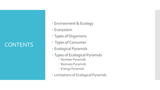 Ecological pyramids | PPT