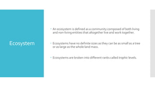 Ecological pyramids | PPT