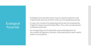 Ecological pyramids | PPT