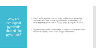 Ecological pyramids | PPT