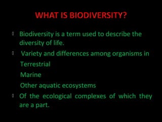 Biodiversity | PPS