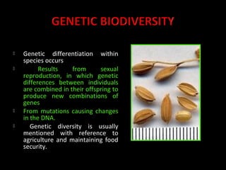Biodiversity | PPS | Geography | Science