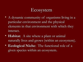 ECOSYSTEMS | PPT