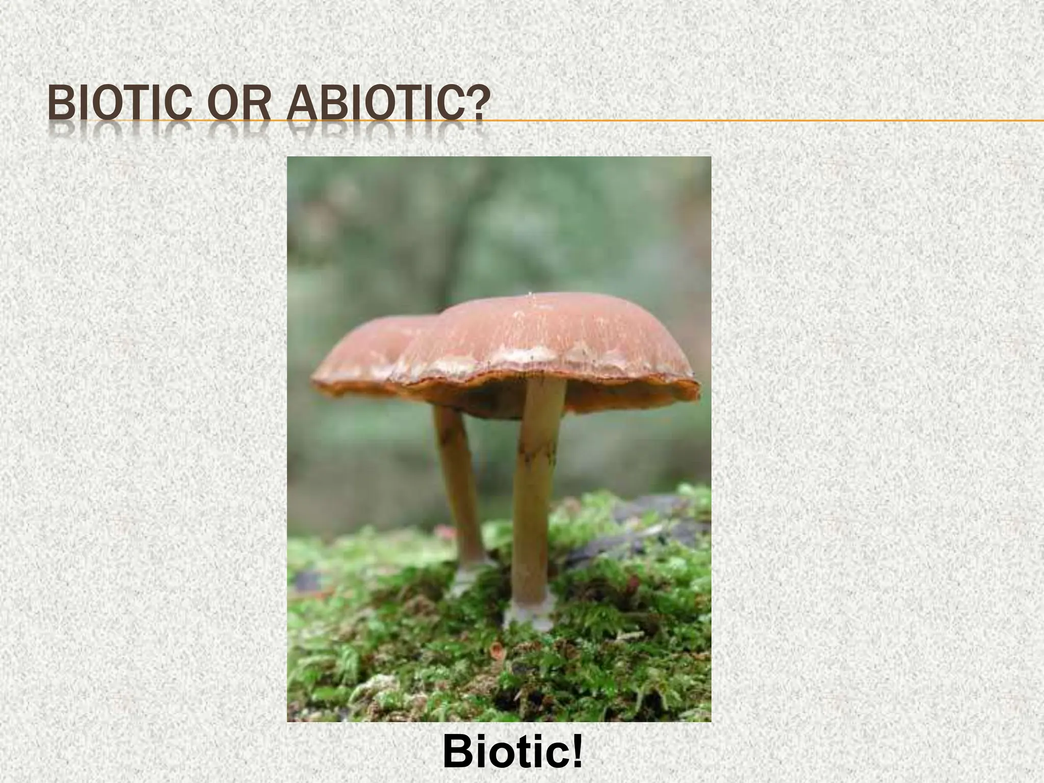 Ecosystem and Environment, GE3451 Environmental Science | PPTX