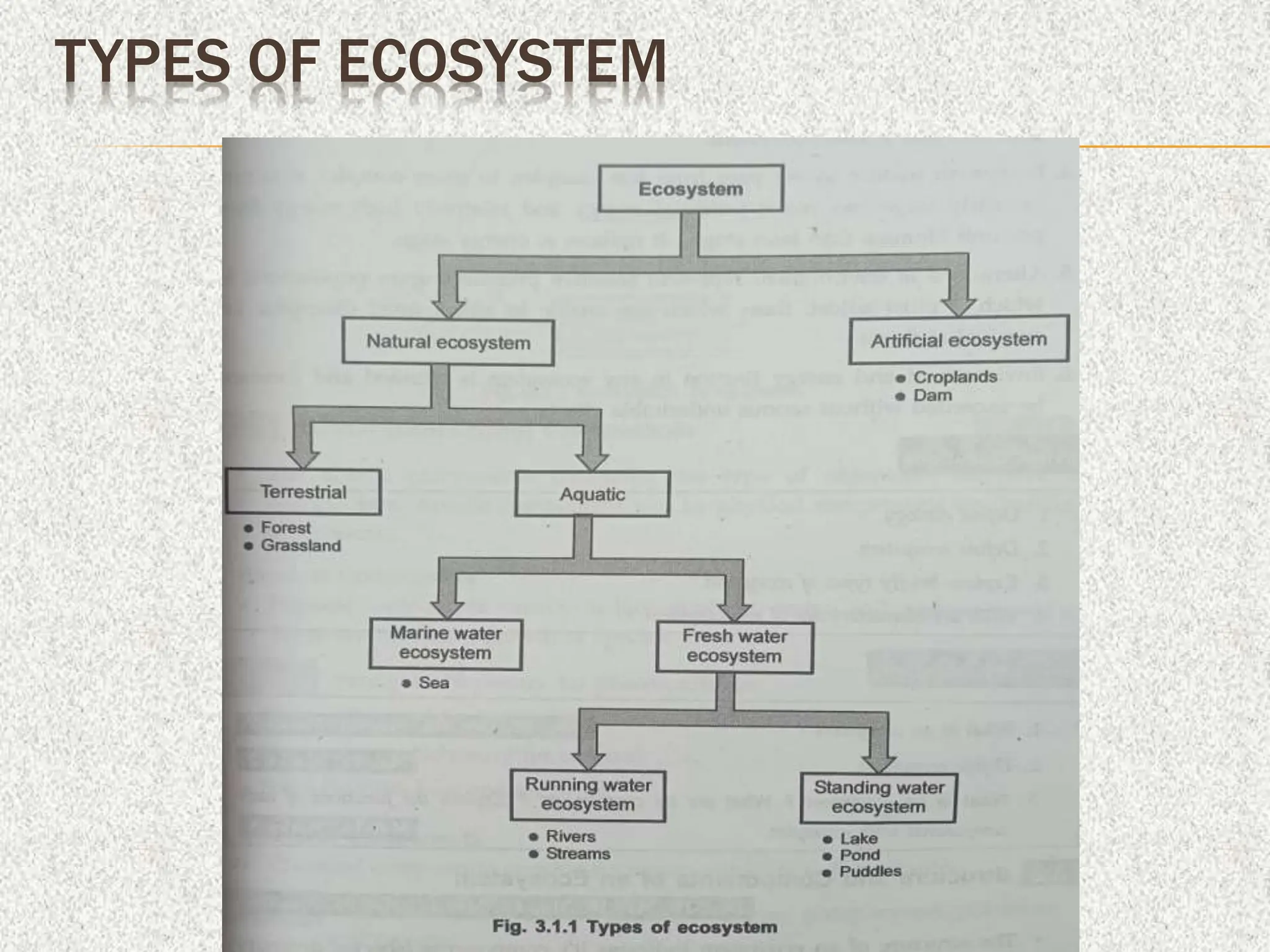Ecosystem and Environment, GE3451 Environmental Science | PPTX