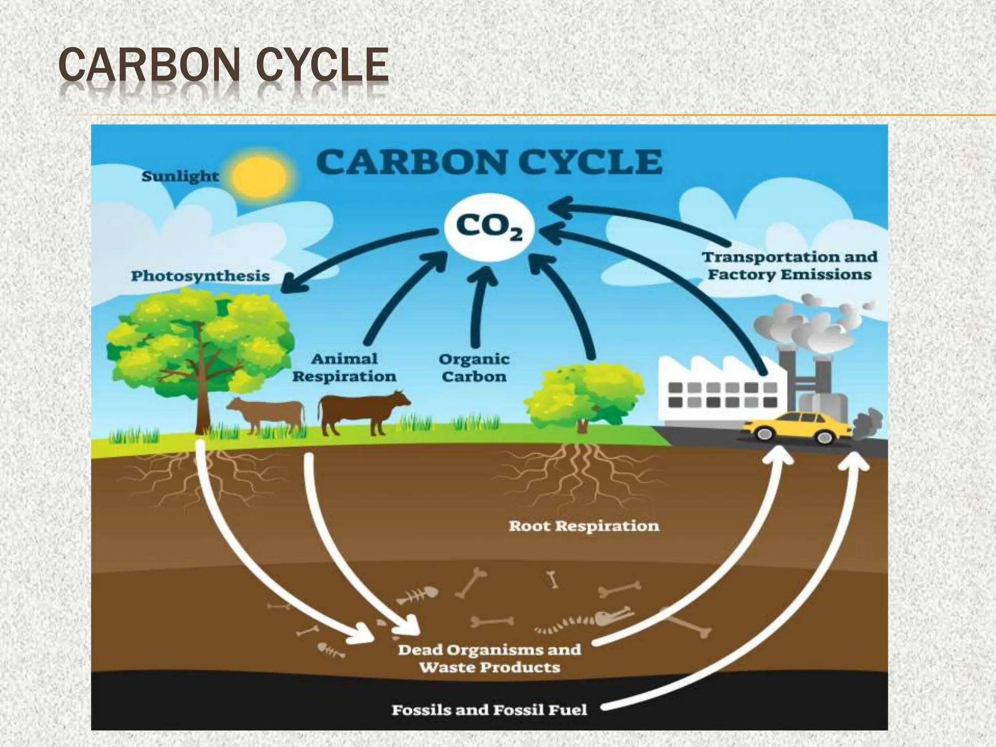 Ecosystem and Environment, GE3451 Environmental Science | PPTX