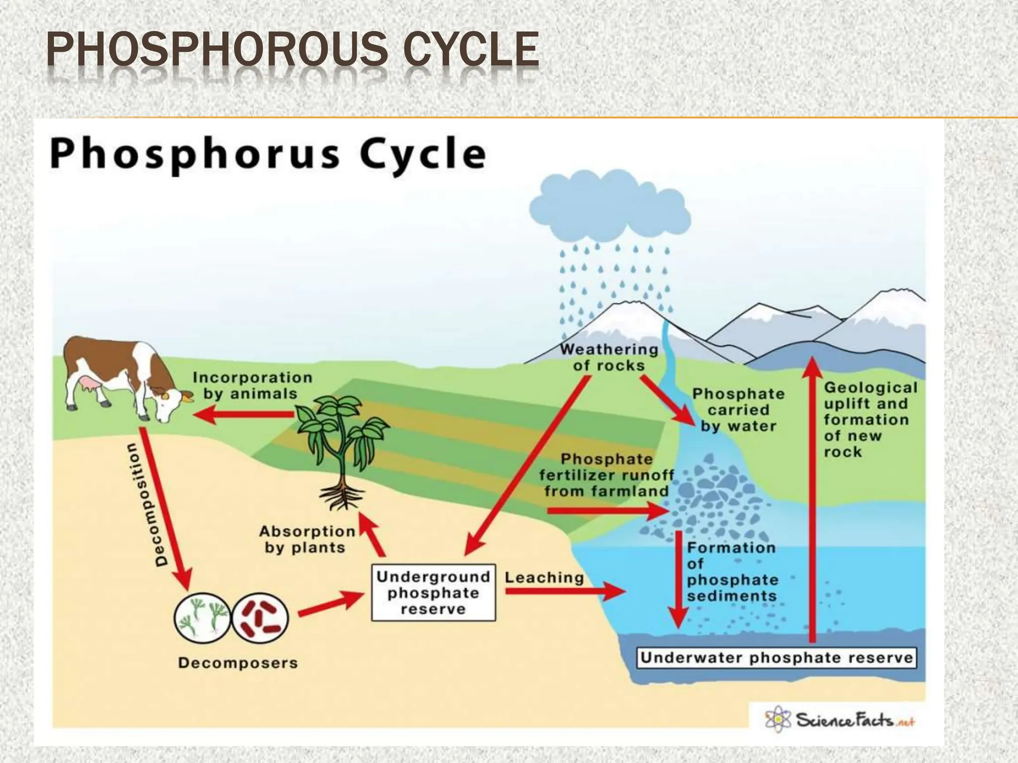 Ecosystem and Environment, GE3451 Environmental Science | PPTX