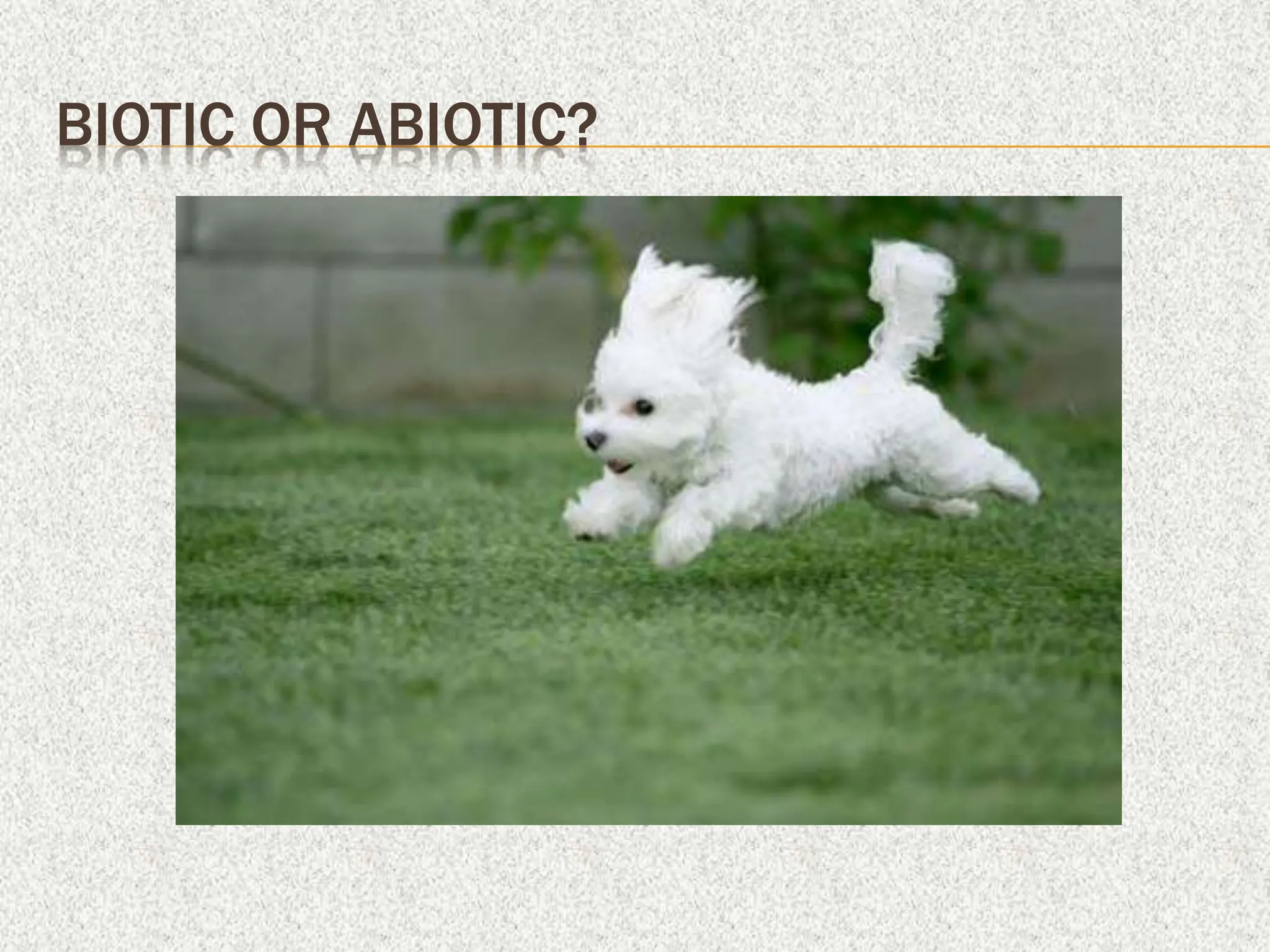 Ecosystem and Environment, GE3451 Environmental Science | PPTX