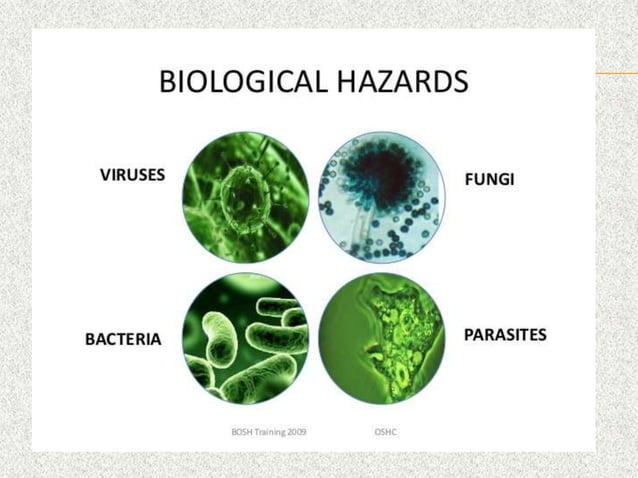 Ecosystem and Environment, GE3451 Environmental Science | PPTX