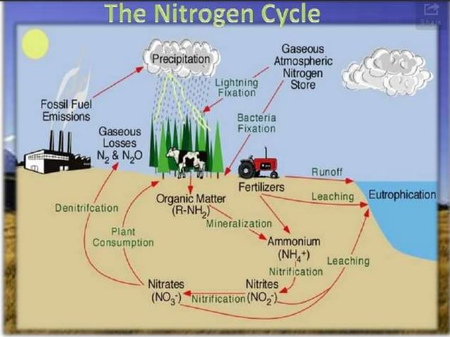 Ecosystem and Environment, GE3451 Environmental Science | PPTX