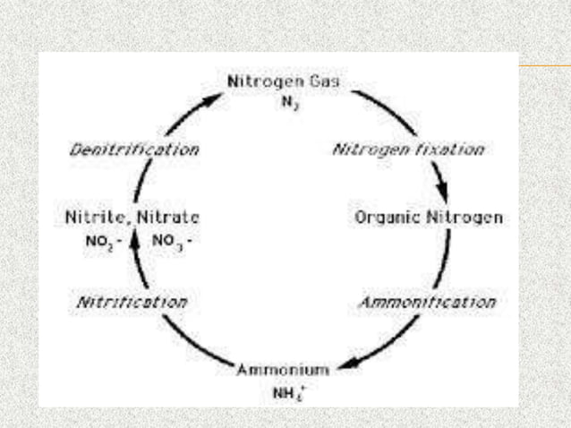 Ecosystem and Environment, GE3451 Environmental Science | PPTX