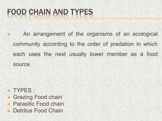 Ecosystem and Environment, GE3451 Environmental Science | PPTX