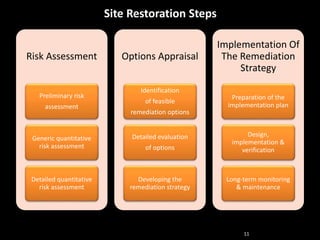 Biorestoration of contaminated land | PPTX