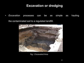 Biorestoration of contaminated land | PPTX