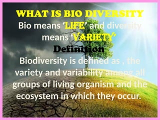 BIO DIVERSITY AND ITS PRESERVATION AND EFFECTS | PPT