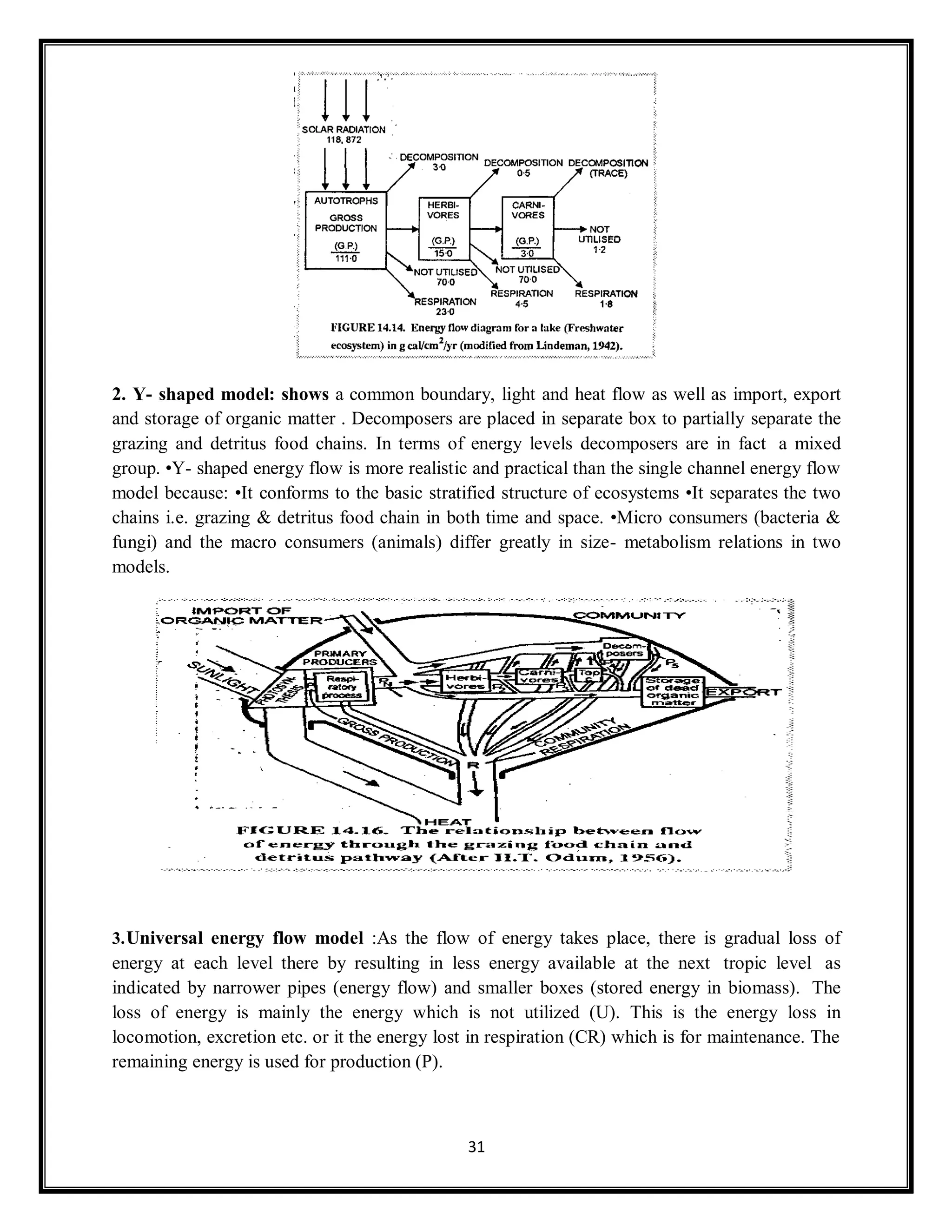 What is ecosystem? What is ecological pyramids ? and its types? What is ...