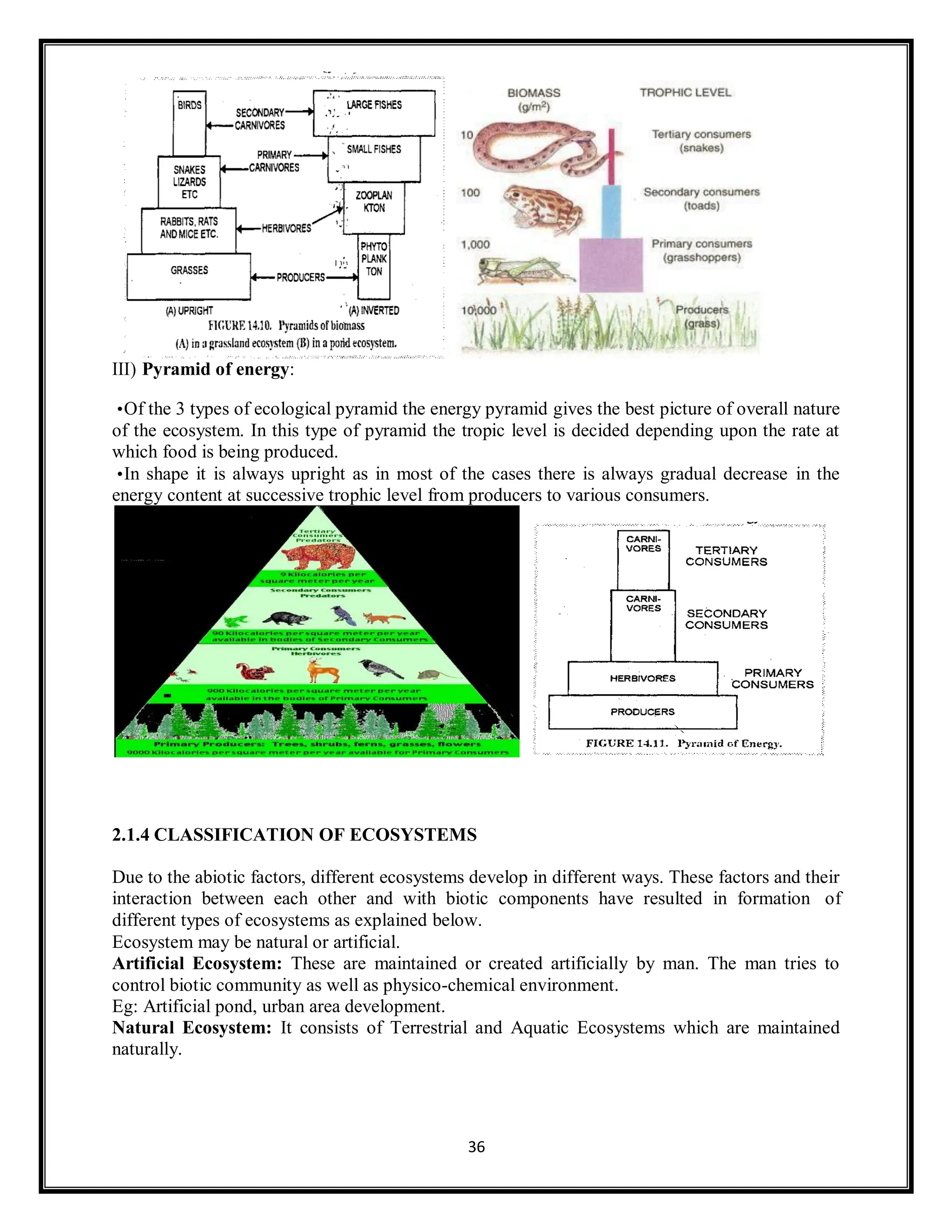 What is ecosystem? What is ecological pyramids ? and its types? What is ...